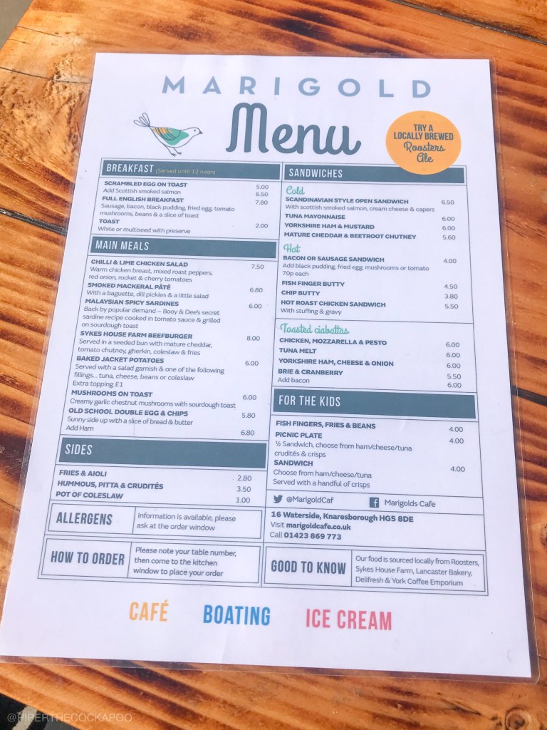 Marigold Cafe, Knaresborough – Piper the Cockapoo