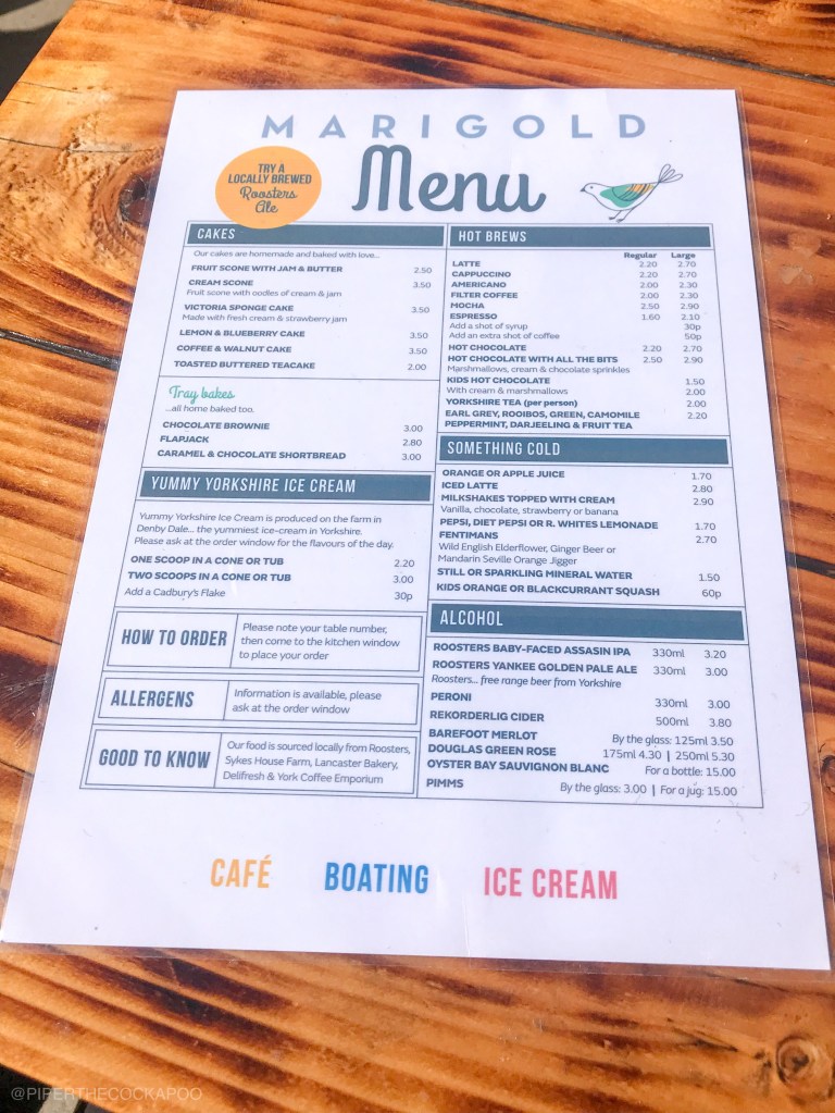 Marigold Cafe, Knaresborough – Piper the Cockapoo